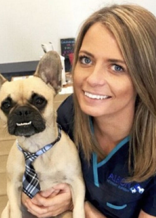 Albion Veterinary Surgery - 97 Albion Rd, Albion - (07) 3357 7849