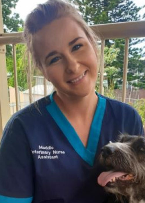 Albion Veterinary Surgery - 97 Albion Rd, Albion - (07) 3357 7849